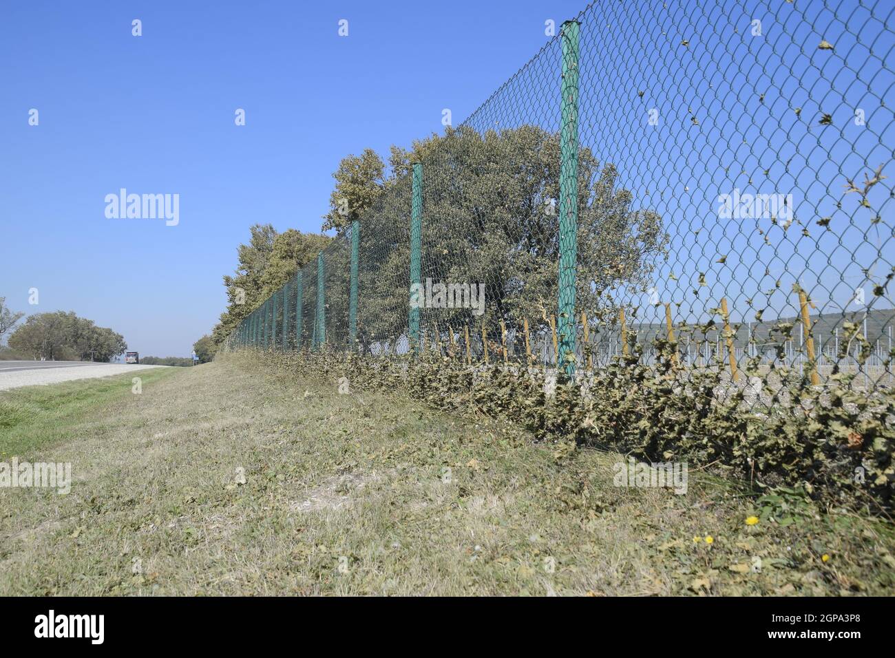 Fence from the mesh netting with the fallen leaves fallen to it. The ...