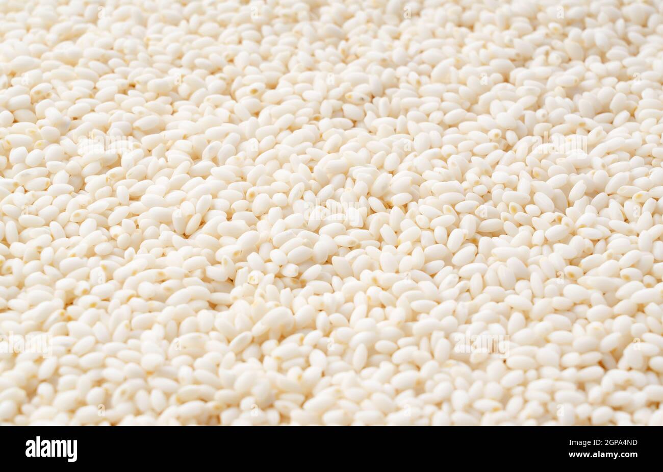 Glutinous rice spread across the screen. Backgrounds Stock Photo - Alamy