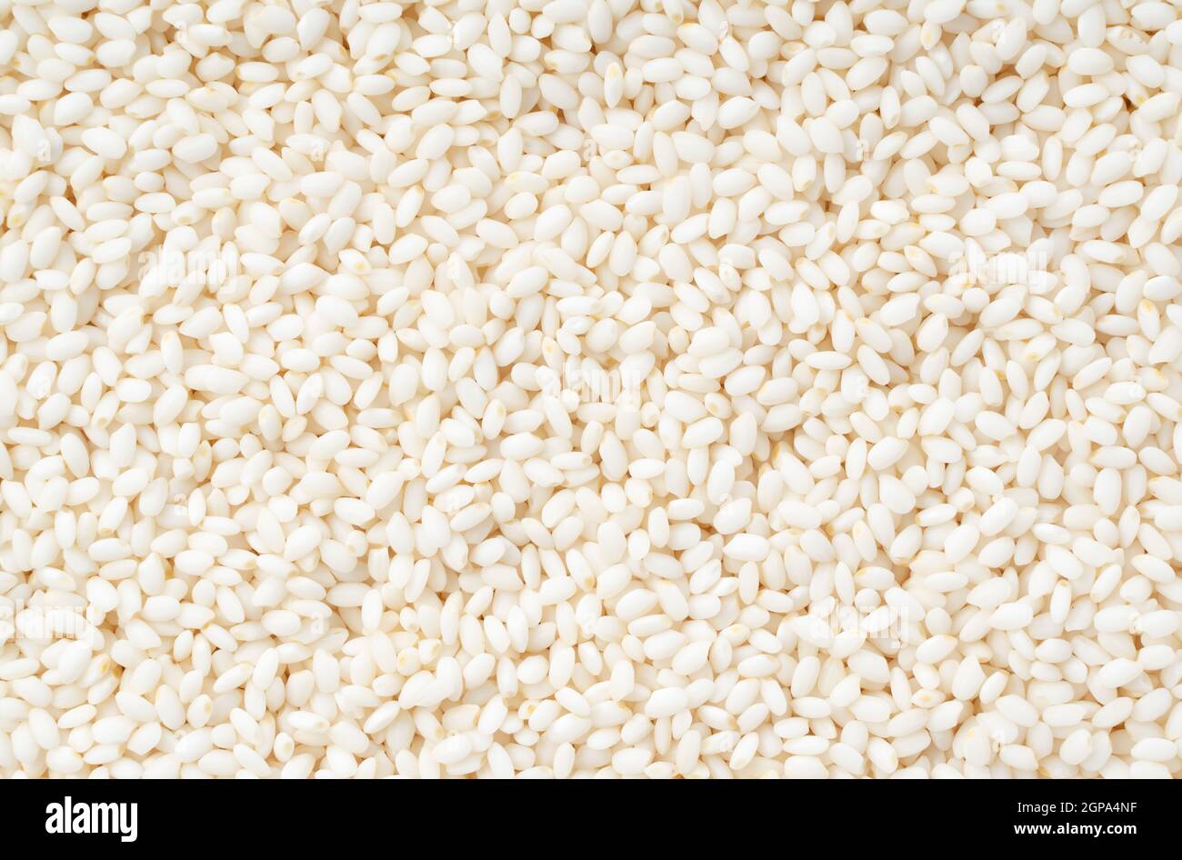 Glutinous rice spread across the screen. Backgrounds Stock Photo - Alamy