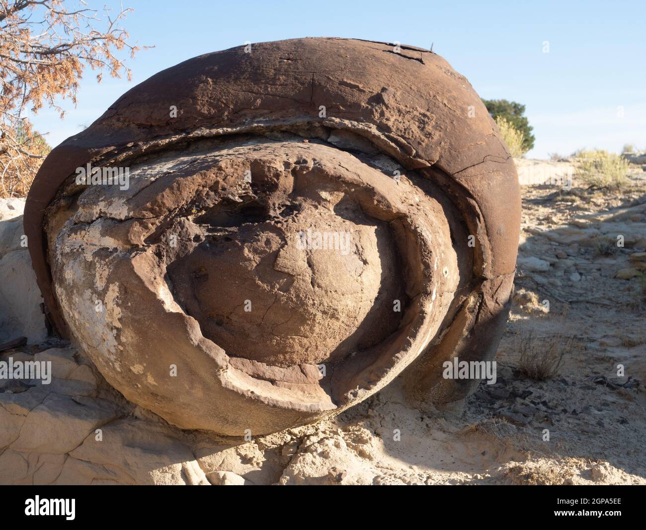 Circular concretion in a stone hi-res stock photography and images - Alamy