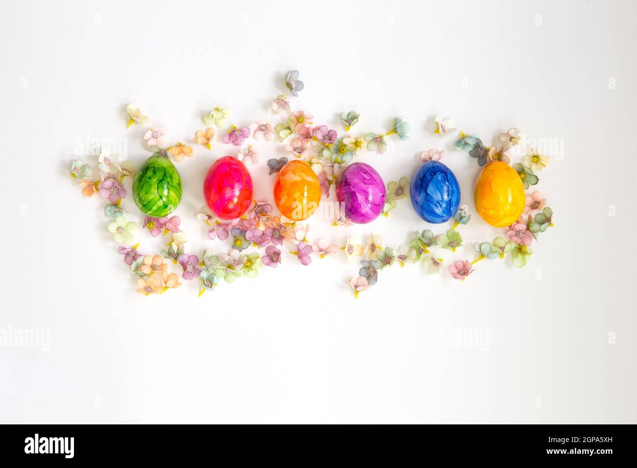 Row of Colorful painted Easter Eggs isolated on white background ...