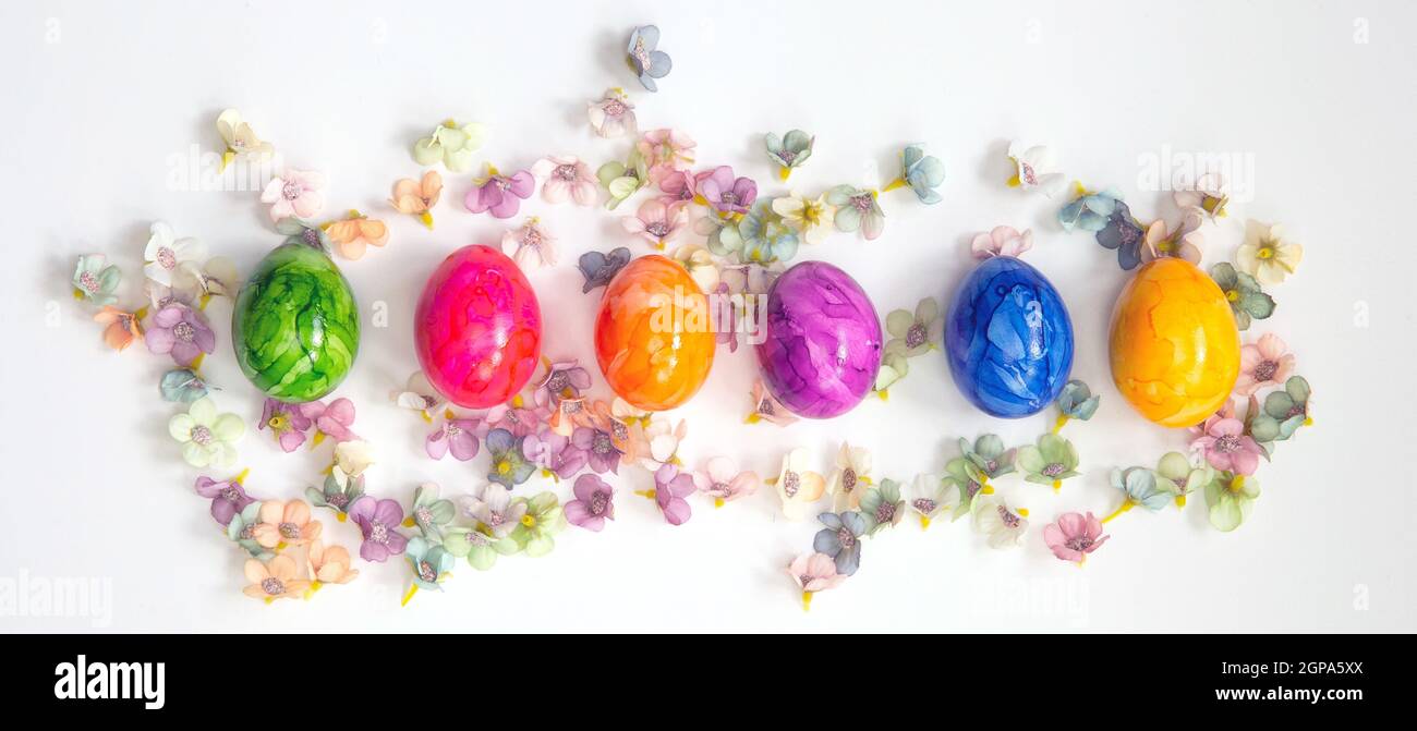Row of Colorful painted Easter Eggs isolated on white background ...