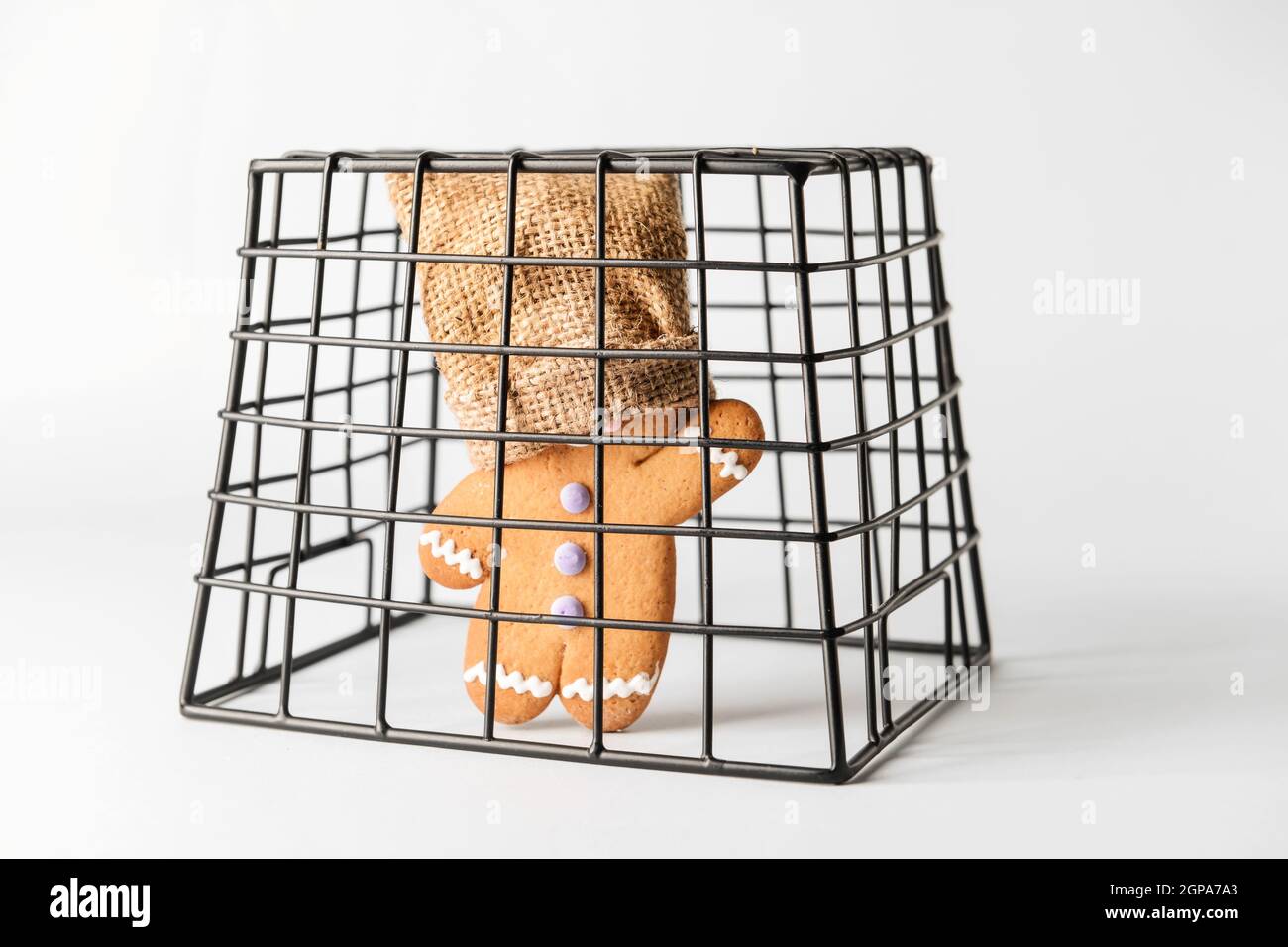 Cookie with sack on head in cage on light background. Concept of ...