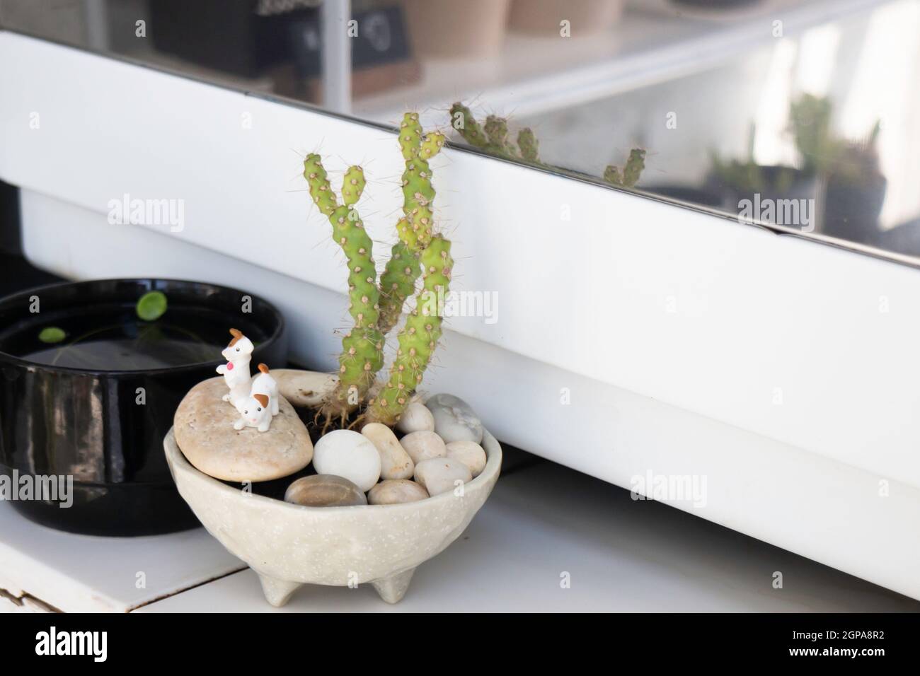 Coffee pot on kitchen counter hi-res stock photography and images - Alamy
