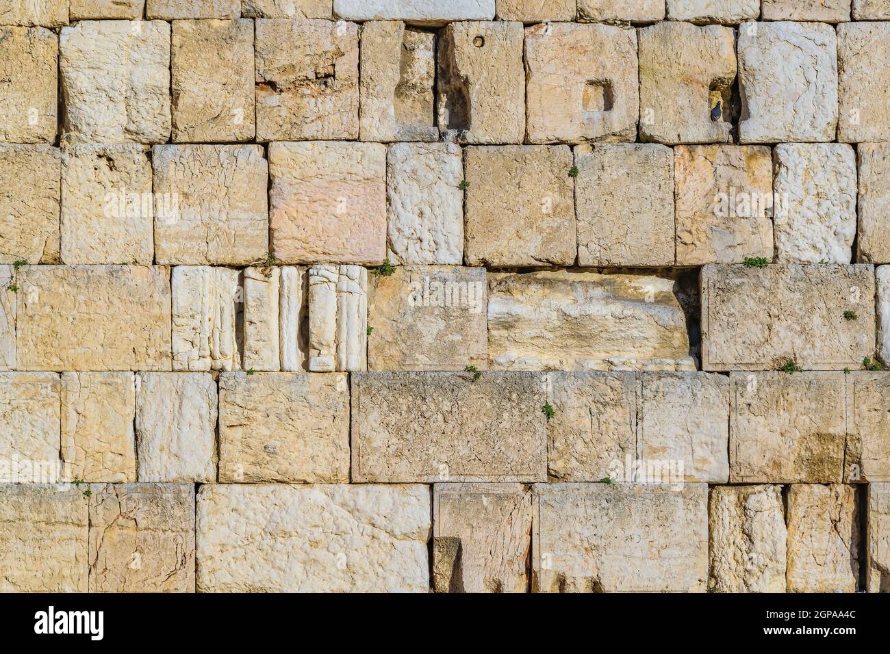 Stone detail wailing wall, old jerusalem city Stock Photo - Alamy