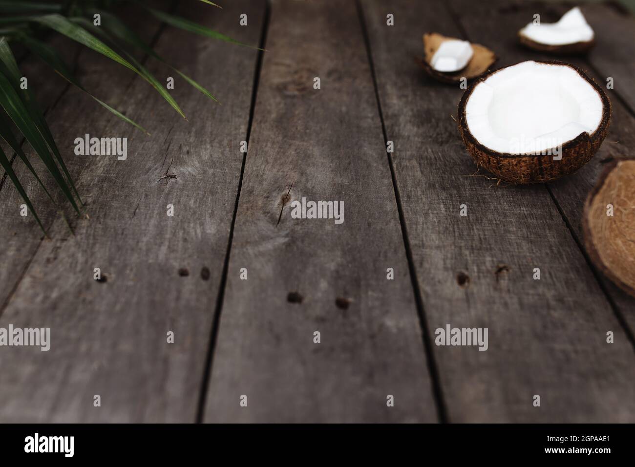 Broken coconuts on gray wooden background with palm leaf. White coconut ...