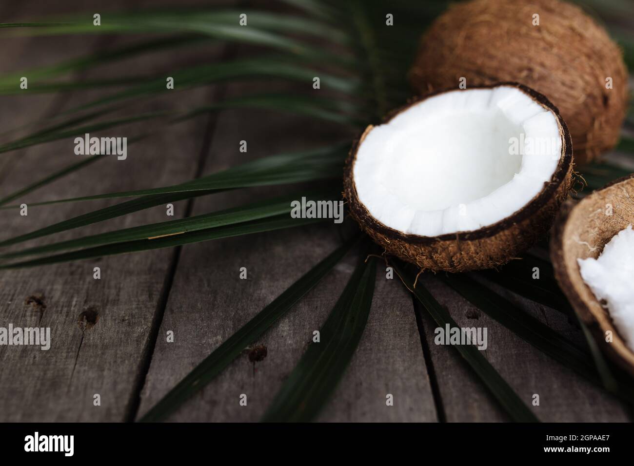 Broken coconuts on gray wooden background with palm leaf. White coconut ...