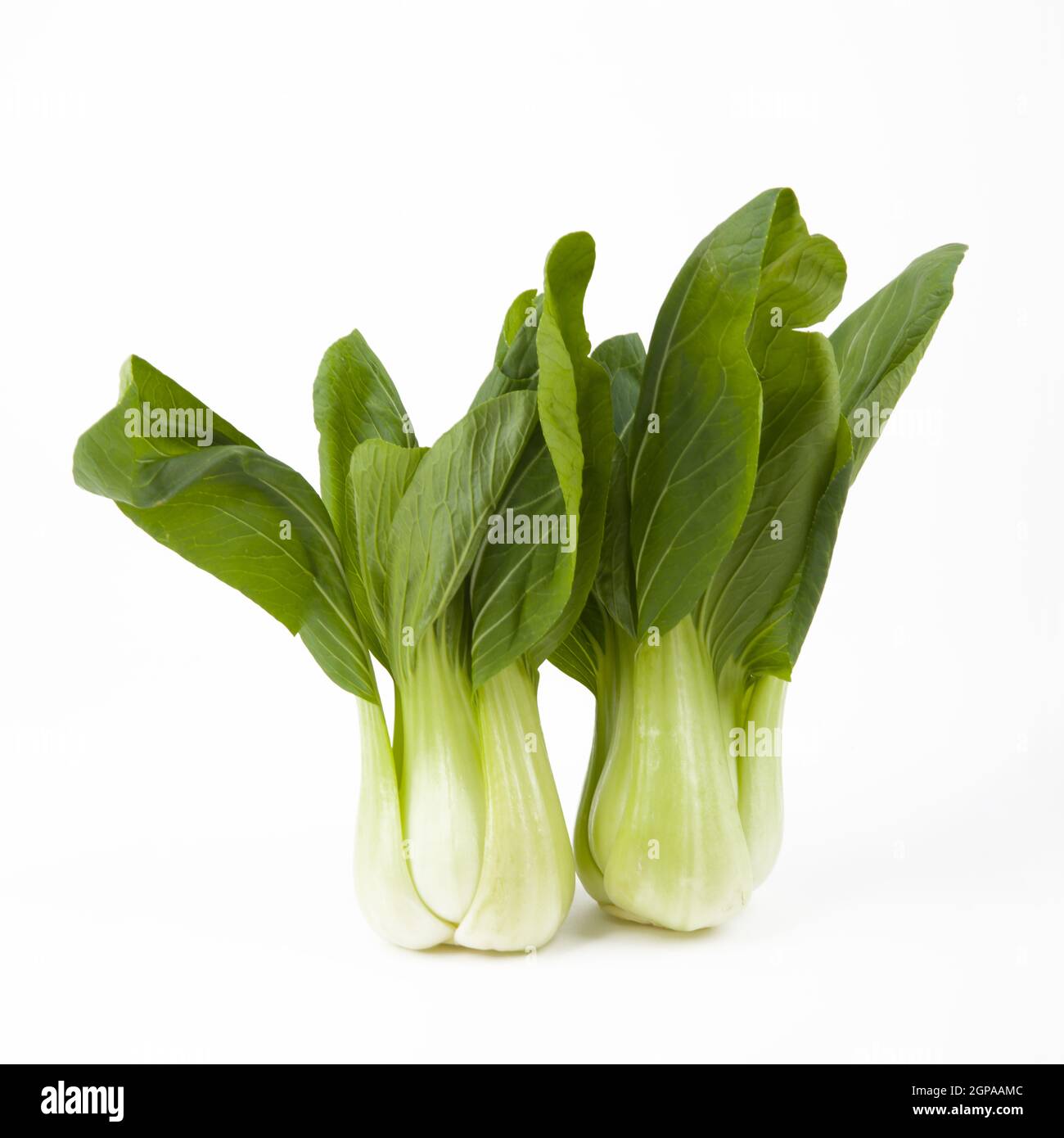 Young fresh Pak Choi Vegetables over white Background Stock Photo - Alamy