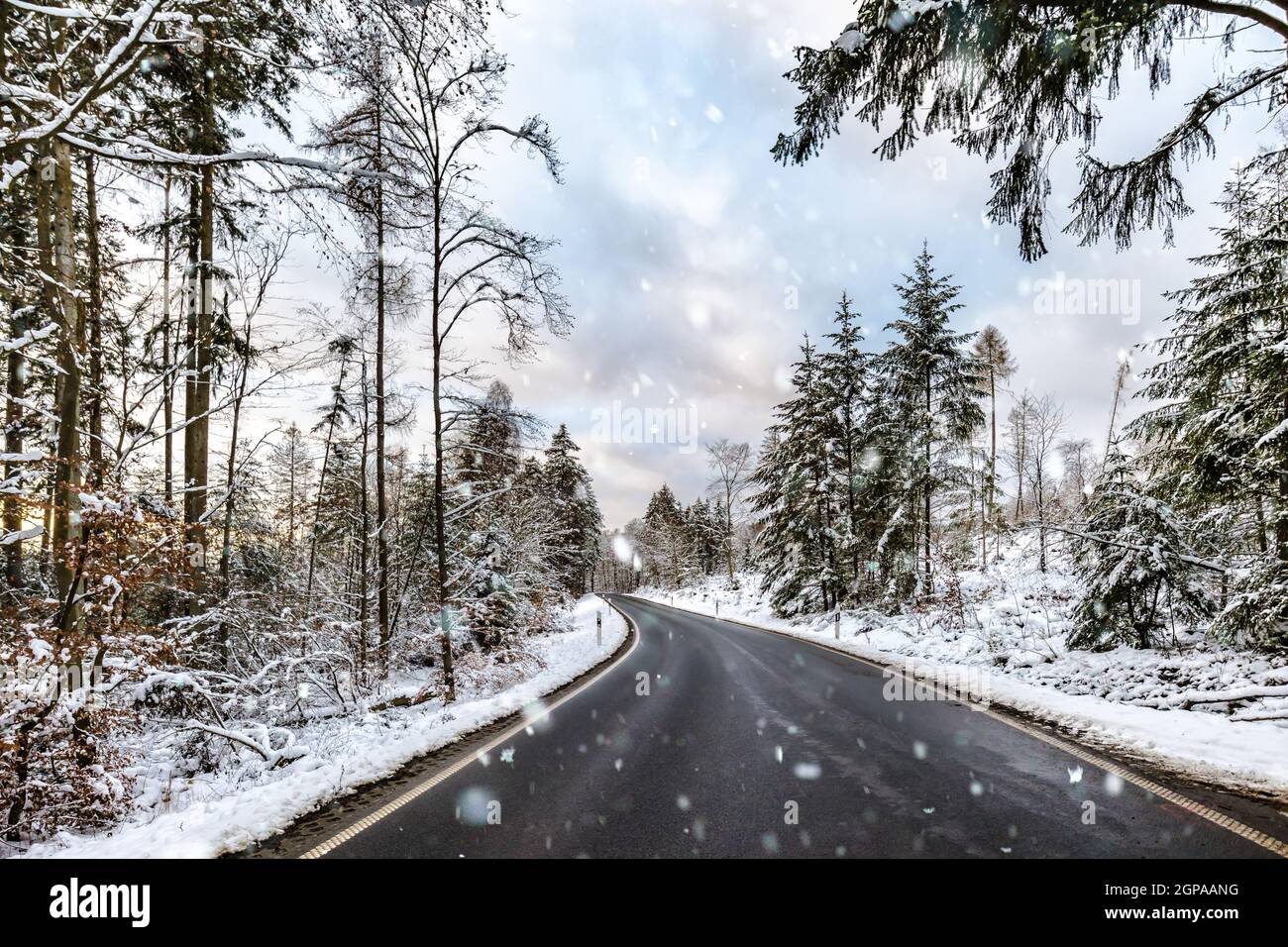 Snowy Winter street sourround wood in Germany Stock Photo - Alamy