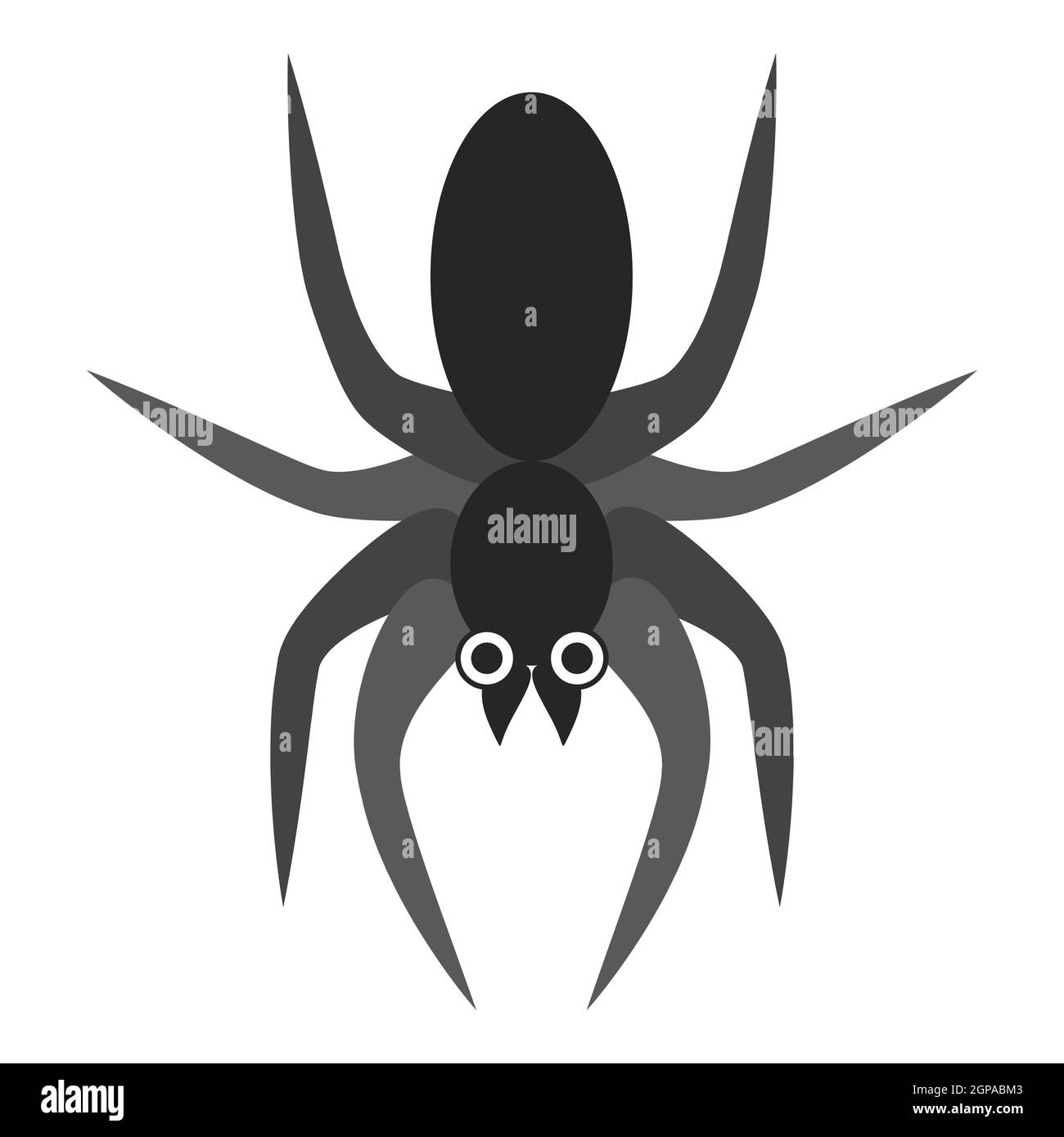 Spider logo template. Spider body consists of cephalothorax and abdomen ...