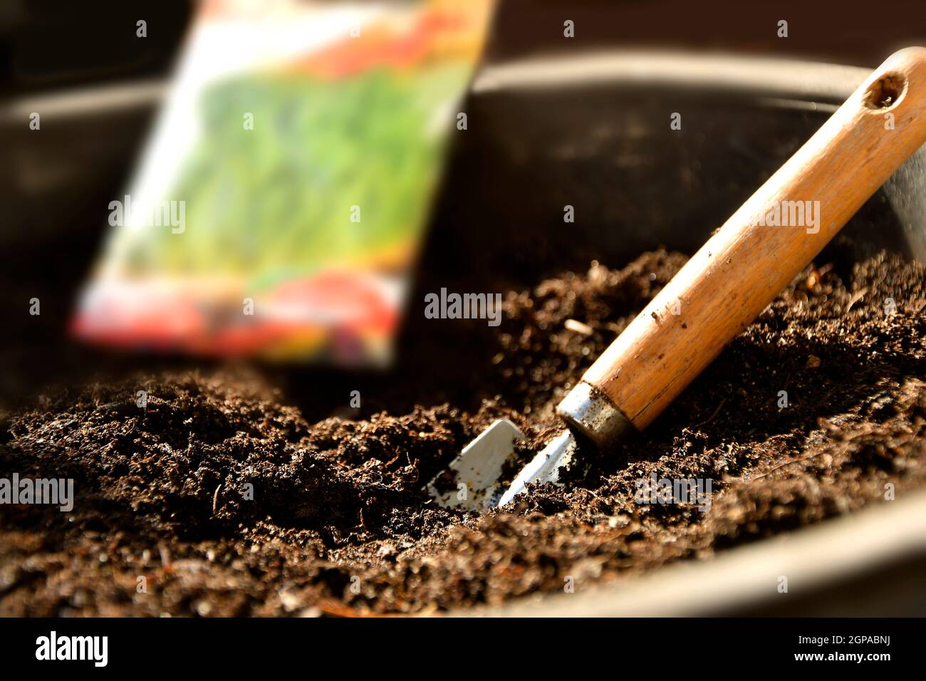 Herbs seed packet hi-res stock photography and images - Alamy
