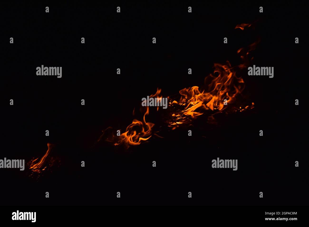 Fire fire. Burning of rice straw at night. Red fire on a black ...