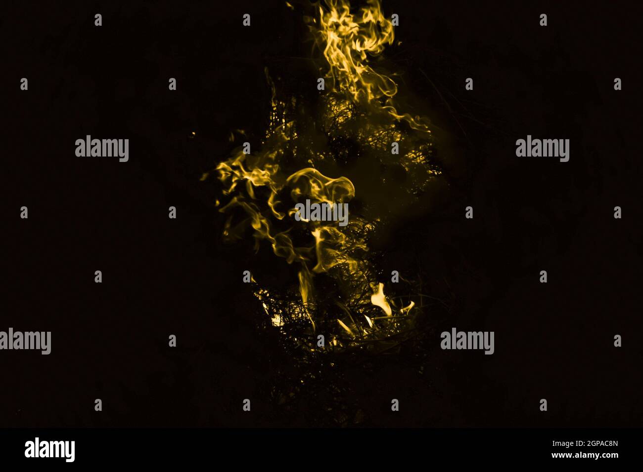 Yellow flame. Fire. Burning of rice straw at night Stock Photo - Alamy