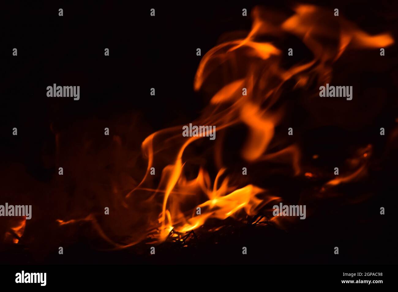 Fire fire. Burning of rice straw at night. Red fire on a black ...