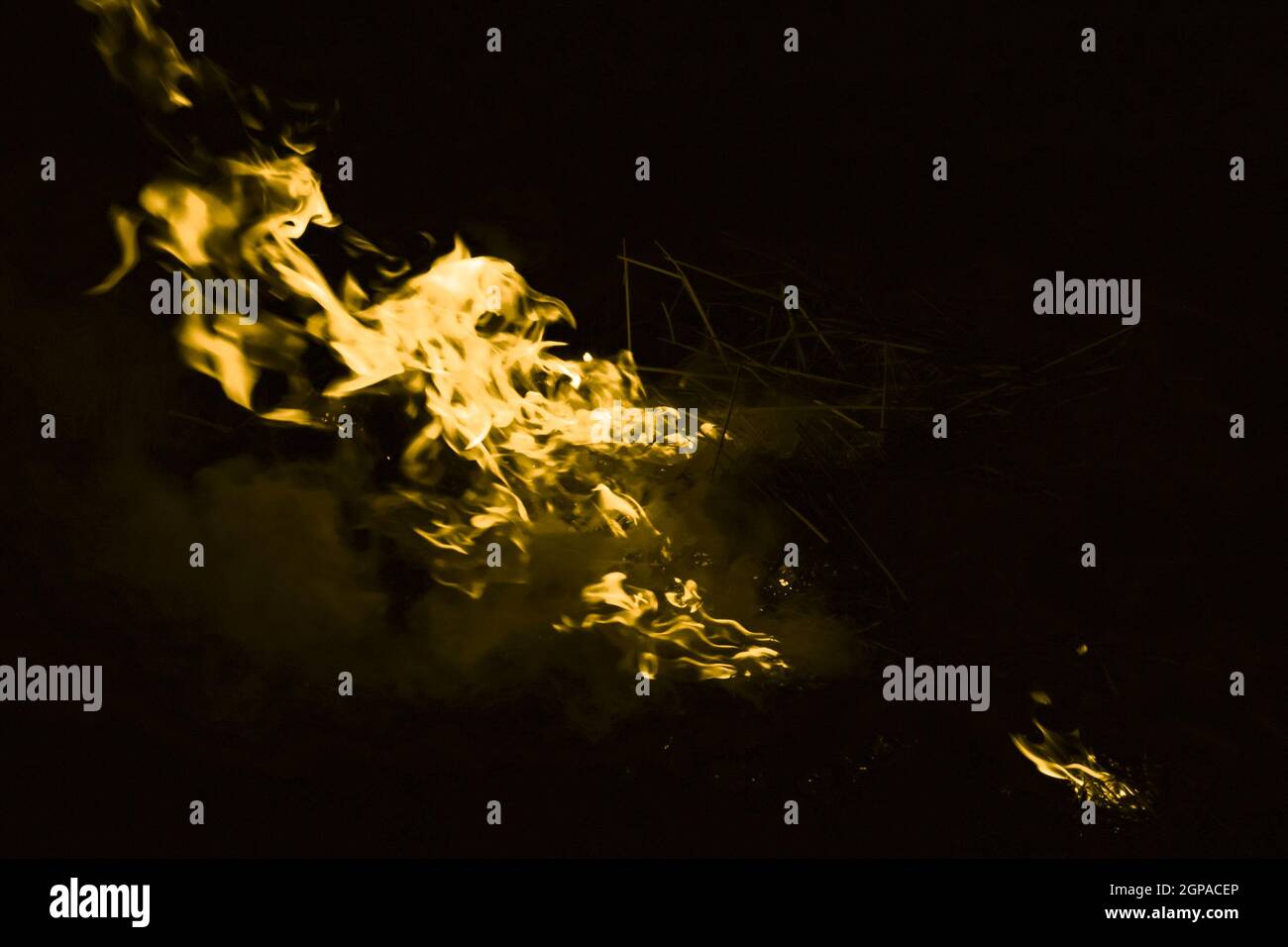 Yellow flame. Fire. Burning of rice straw at night Stock Photo - Alamy