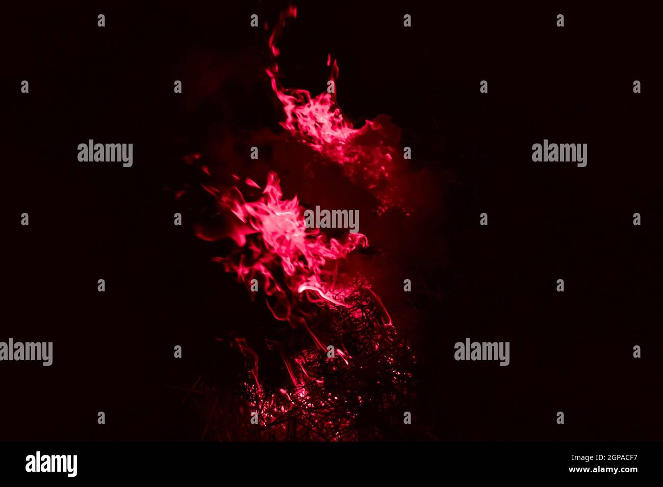 Fire. Burning of rice straw at night. A dark red flame Stock Photo - Alamy