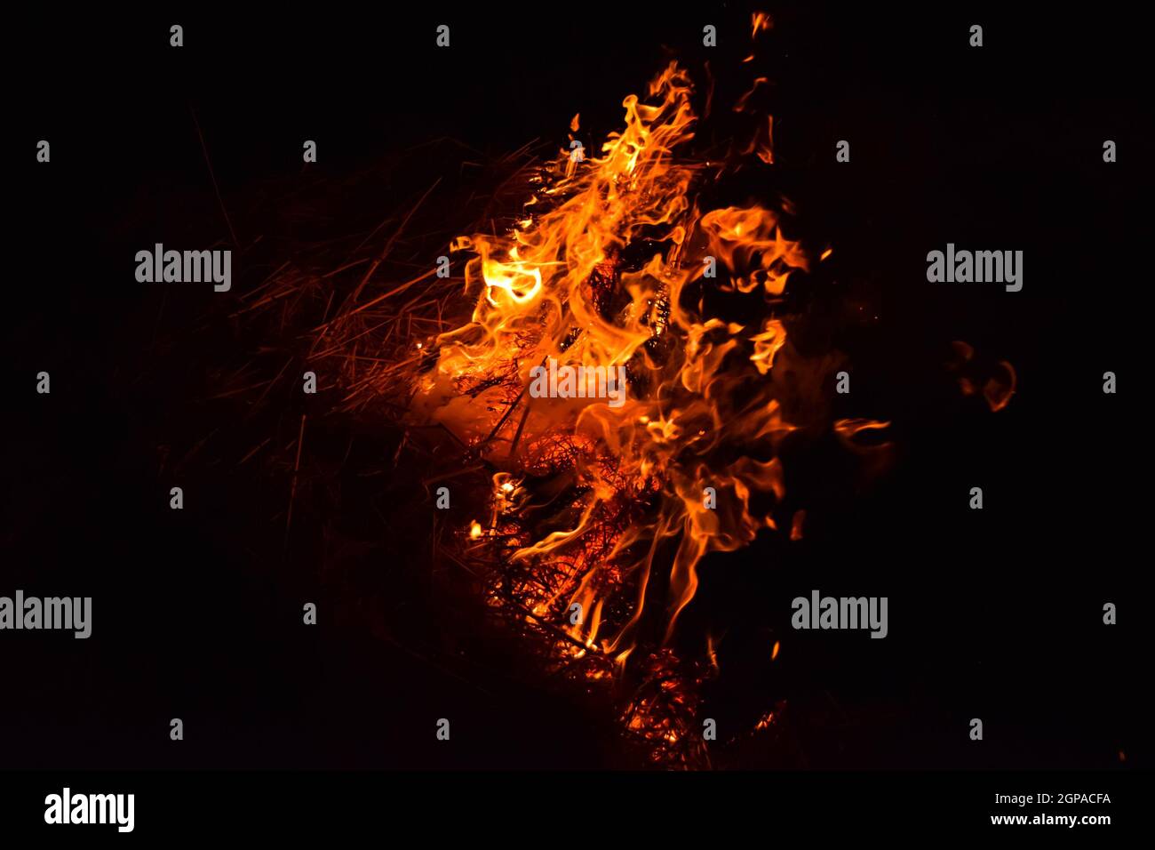 Fire. Burning of rice straw at night. Red fire on a black background ...