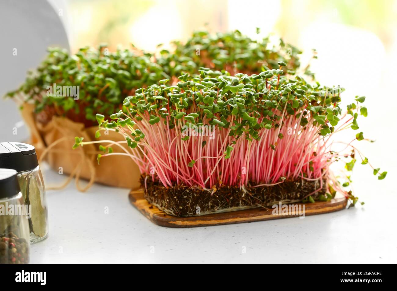 Fresh microgreen leaves young hi-res stock photography and images - Alamy