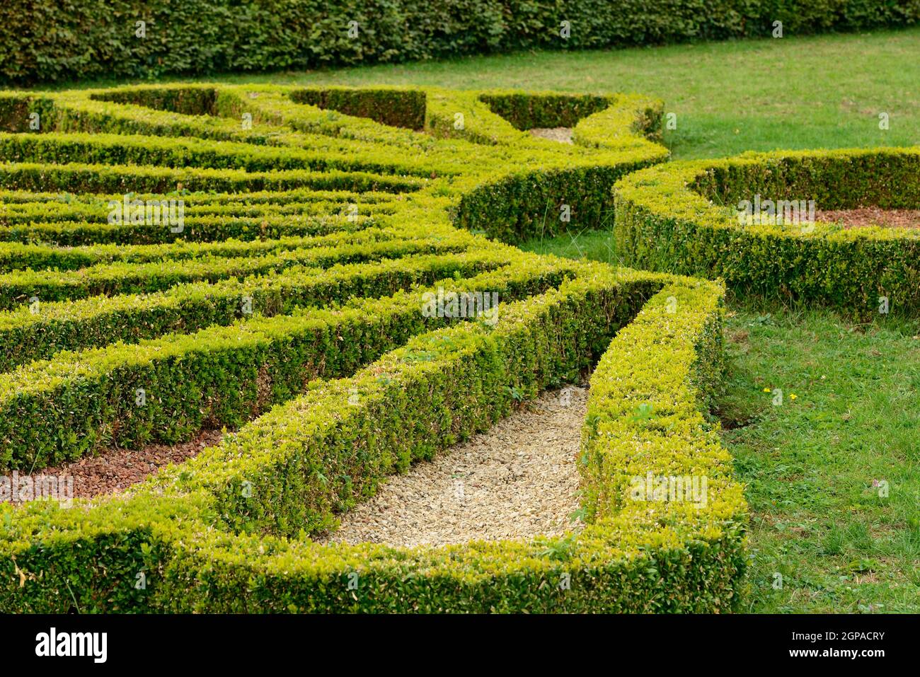 detail of hedgerow decoration at baroque castle in surroundings of city ...