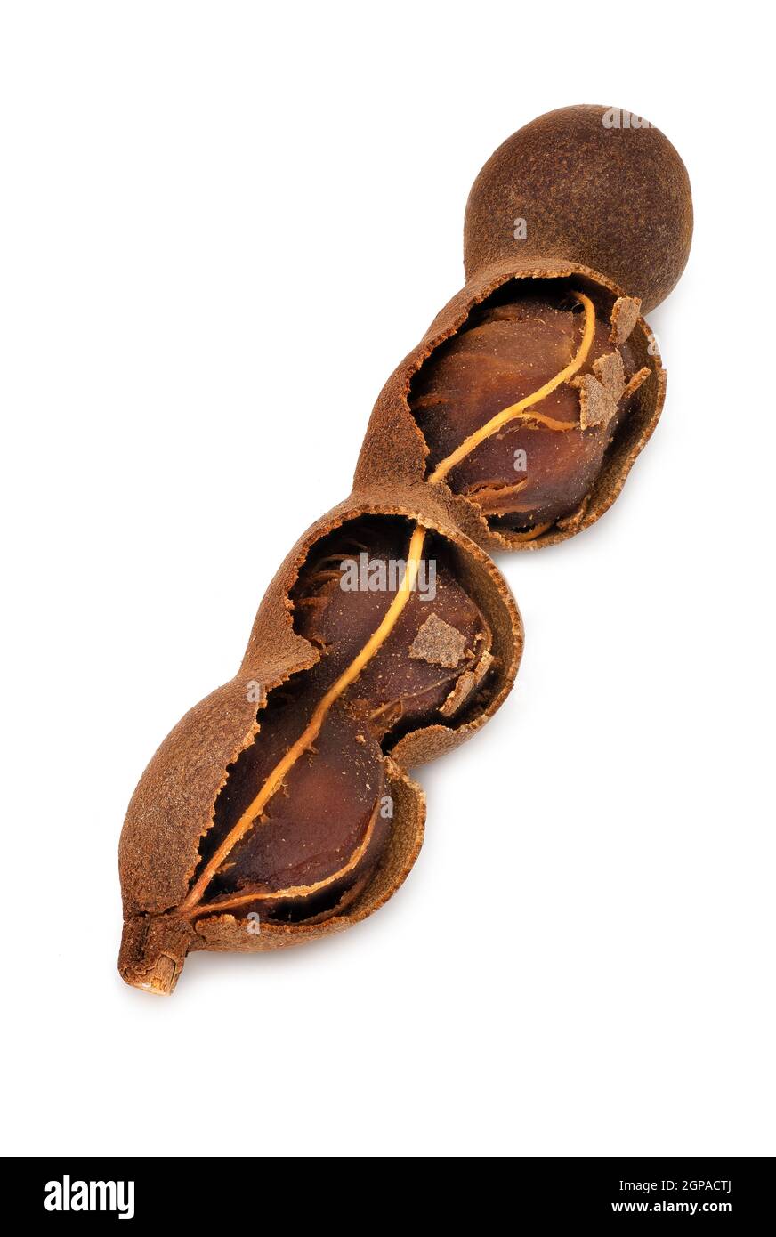 Tamarind, close up and studio shot of tropical fruit on white ...