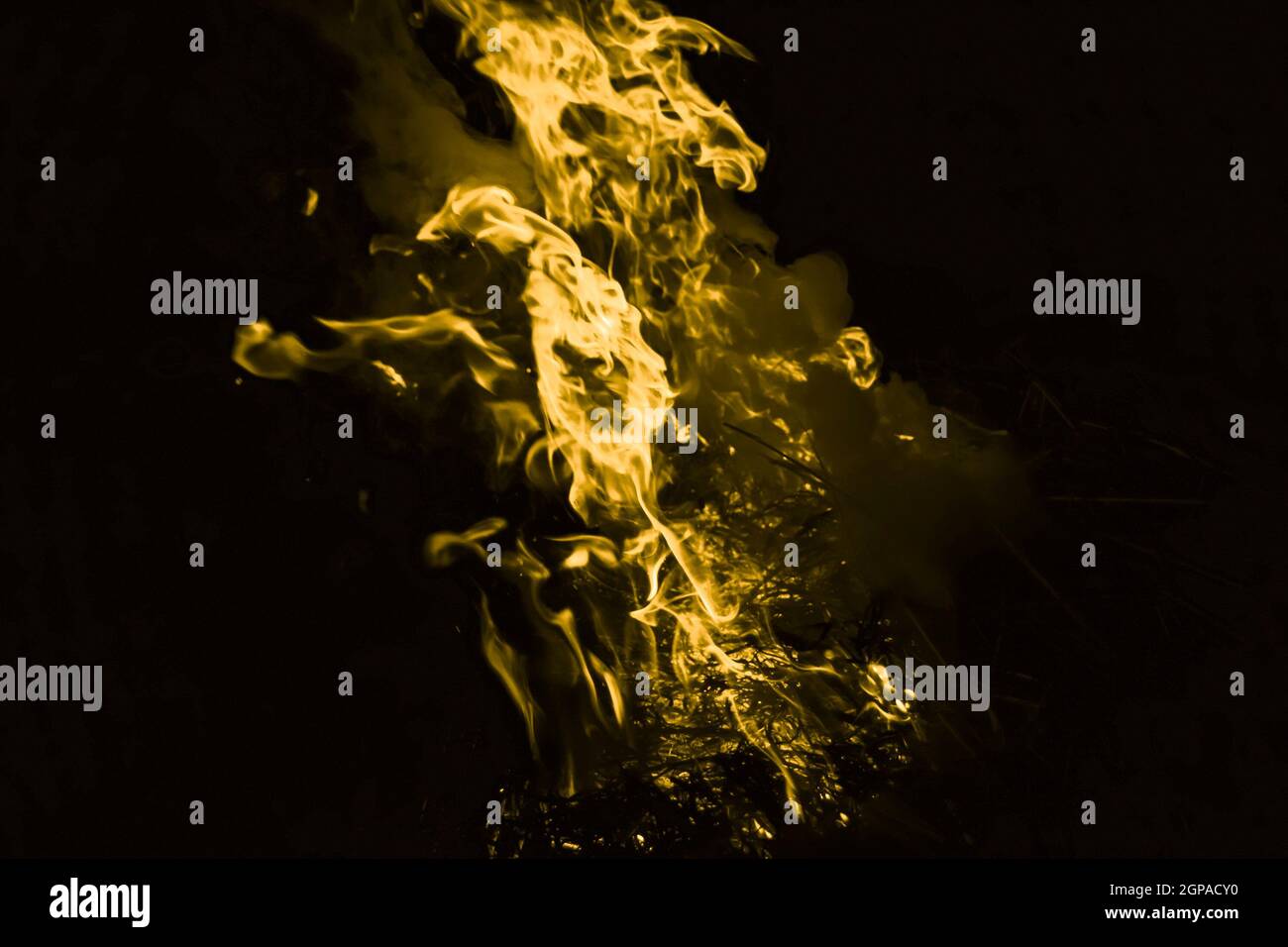Yellow flame. Fire. Burning of rice straw at night Stock Photo - Alamy