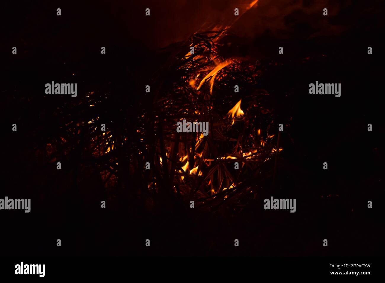 Fire. Burning of rice straw at night. Red fire on a black background ...