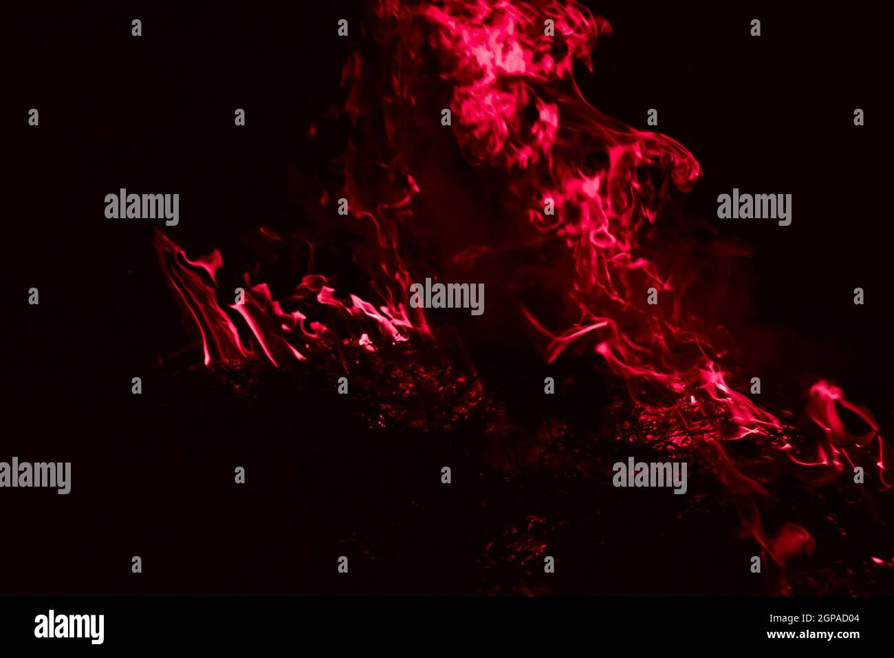 Fire. Burning of rice straw at night. A dark red flame Stock Photo - Alamy