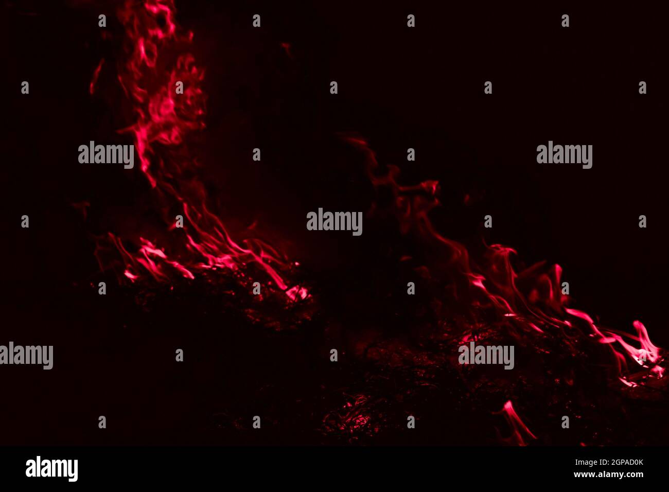 Fire. Burning of rice straw at night. A dark red flame Stock Photo - Alamy