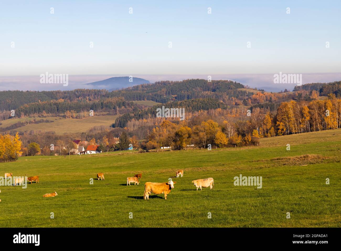 Typical Sumava autumn landscape, Southern Bohemia, Czech Republic Stock ...