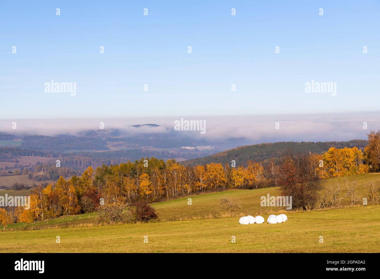 Typical Sumava autumn landscape, Southern Bohemia, Czech Republic Stock ...