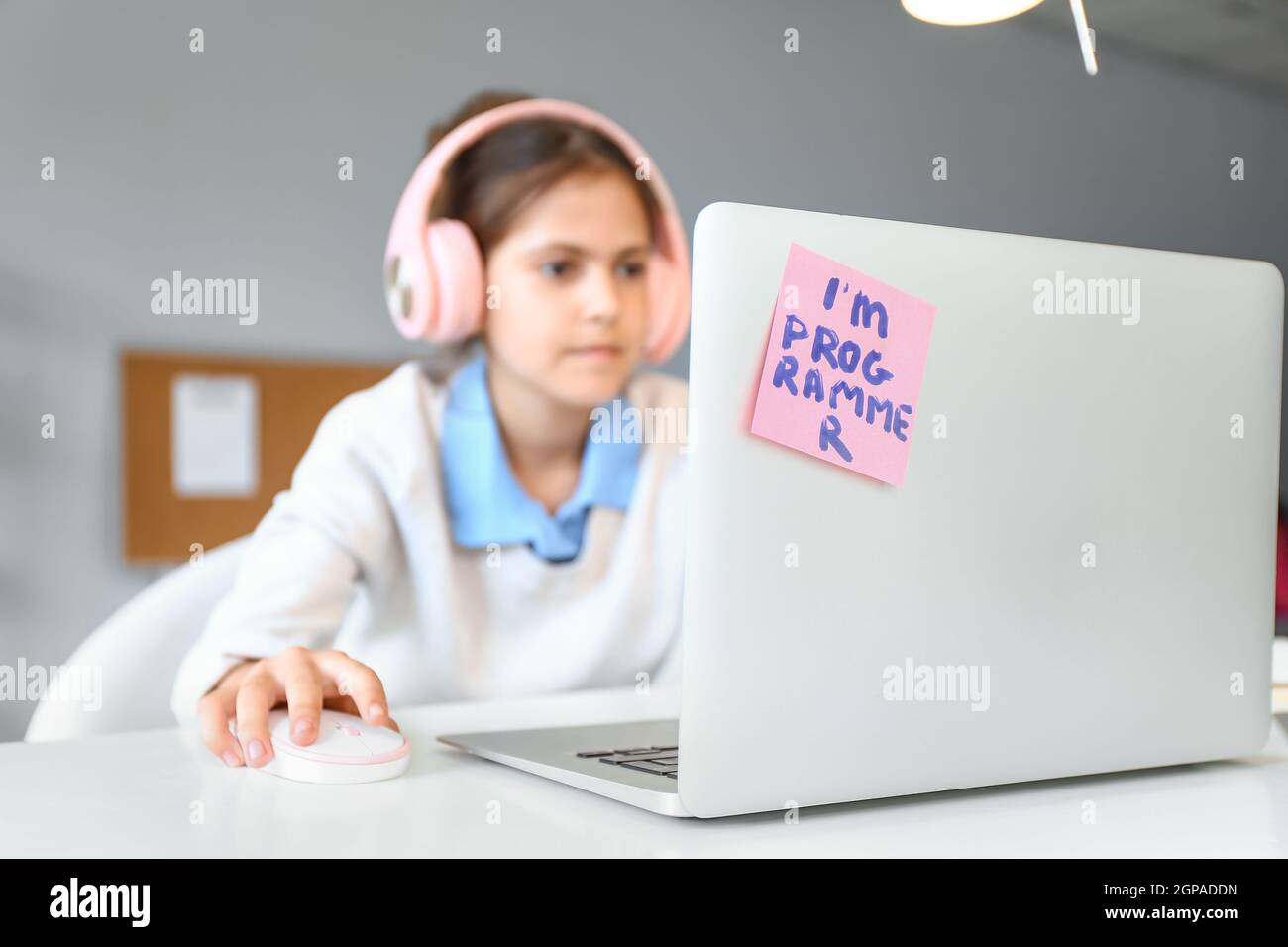Little programmer working with laptop in office Stock Photo - Alamy