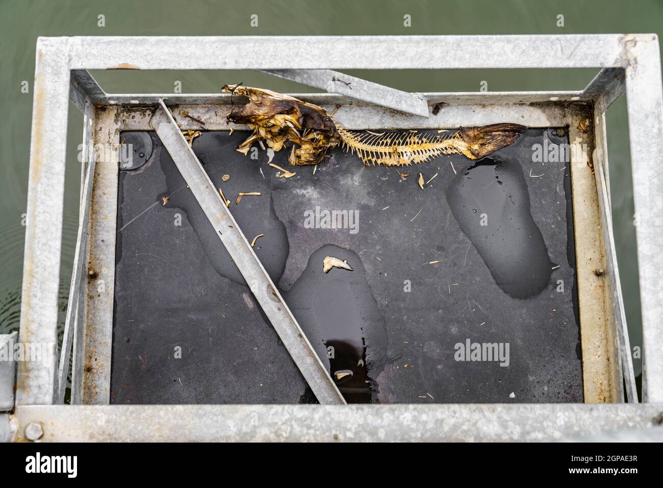 How to make a dried fish hi-res stock photography and images - Alamy