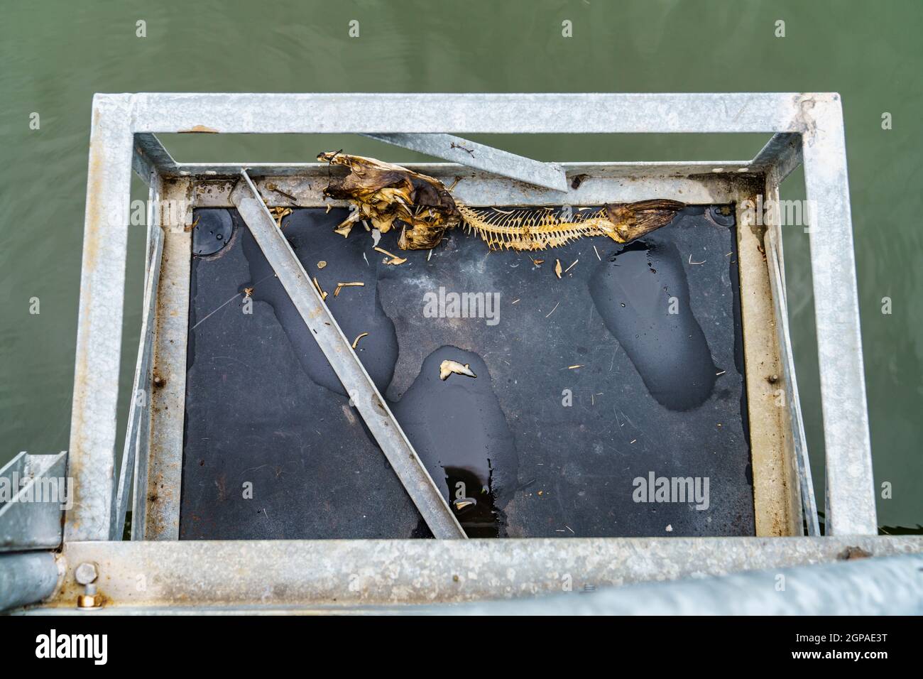 How to make a dried fish hi-res stock photography and images - Alamy