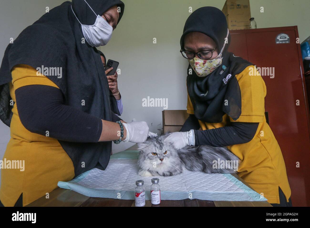 Rabies vaccine hi-res stock photography and images - Alamy