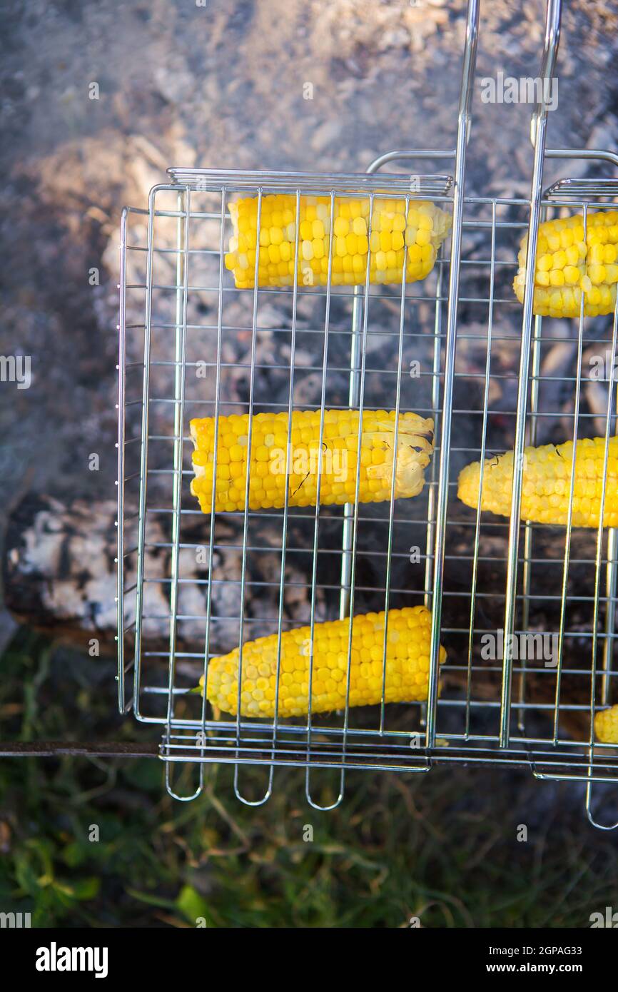 Fried corncobs of yellow juicy corn cooked on a wire rack. Weekend ...