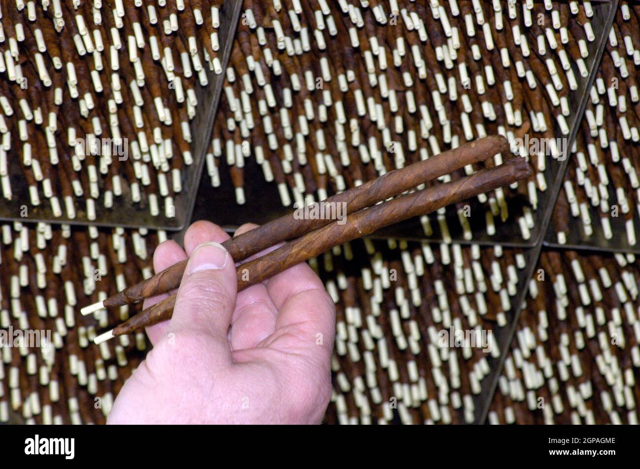 Tobacco processing products hi-res stock photography and images - Alamy