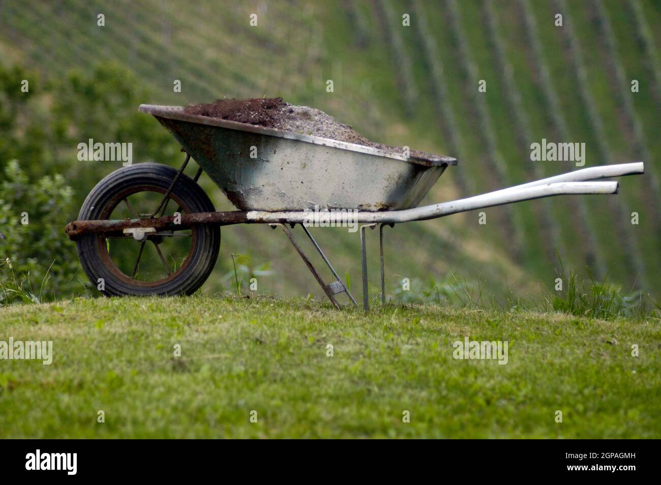 Pile of stable manure hi-res stock photography and images - Alamy