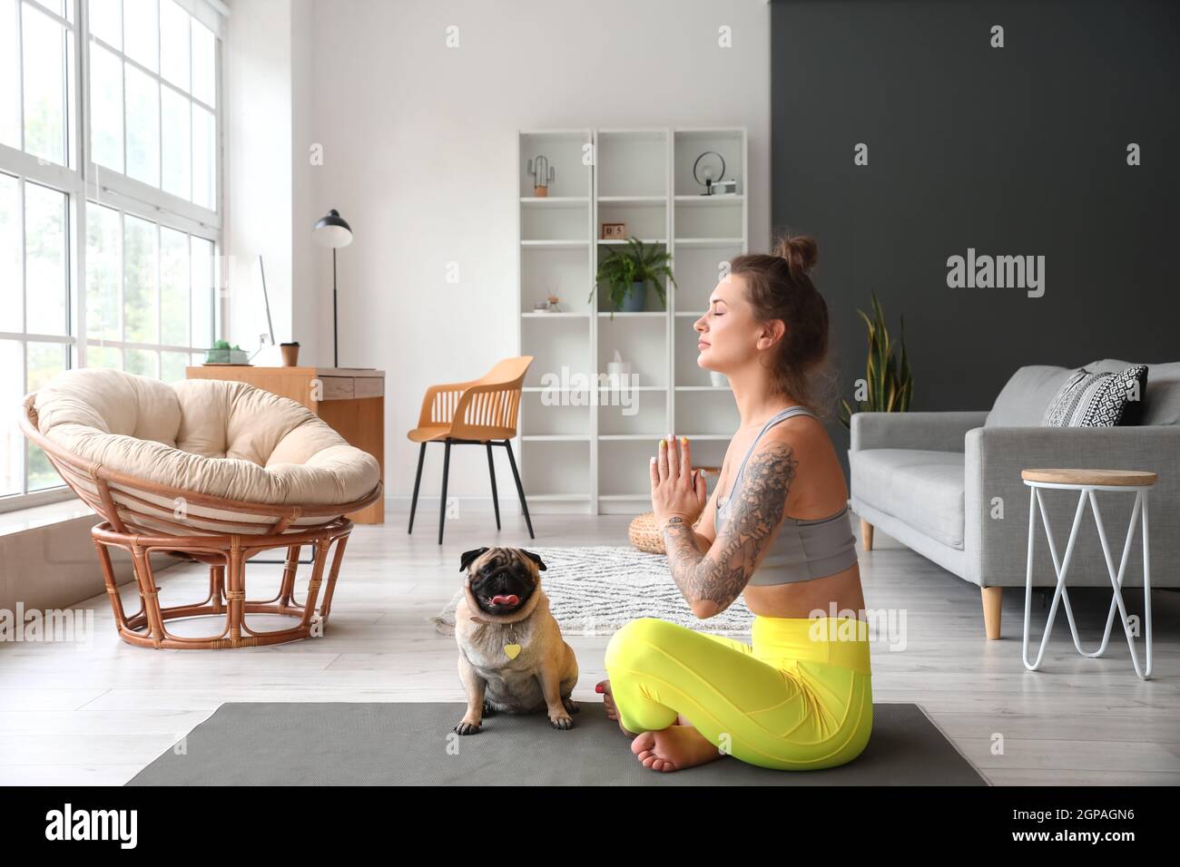 Young woman with cute pug dog meditating at home Stock Photo - Alamy