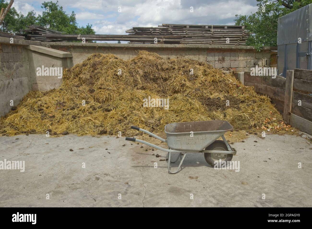 Pile of stable manure hi-res stock photography and images - Alamy