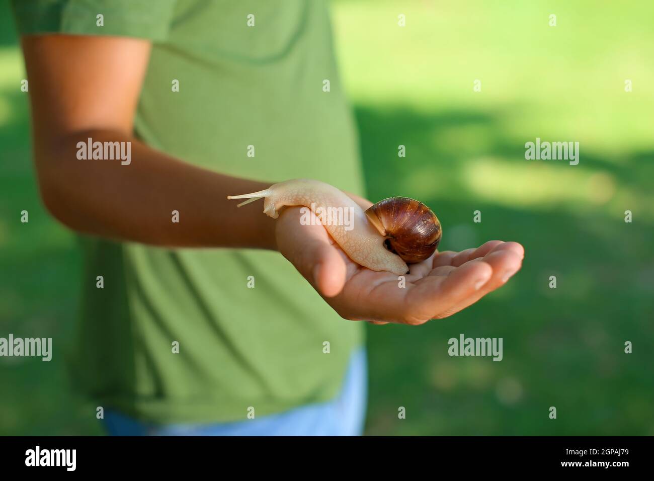 Little boy with snail in park Stock Photo - Alamy