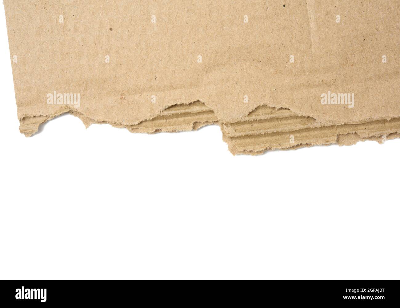 torn piece of corrugated cardboard isolated on white background, close ...