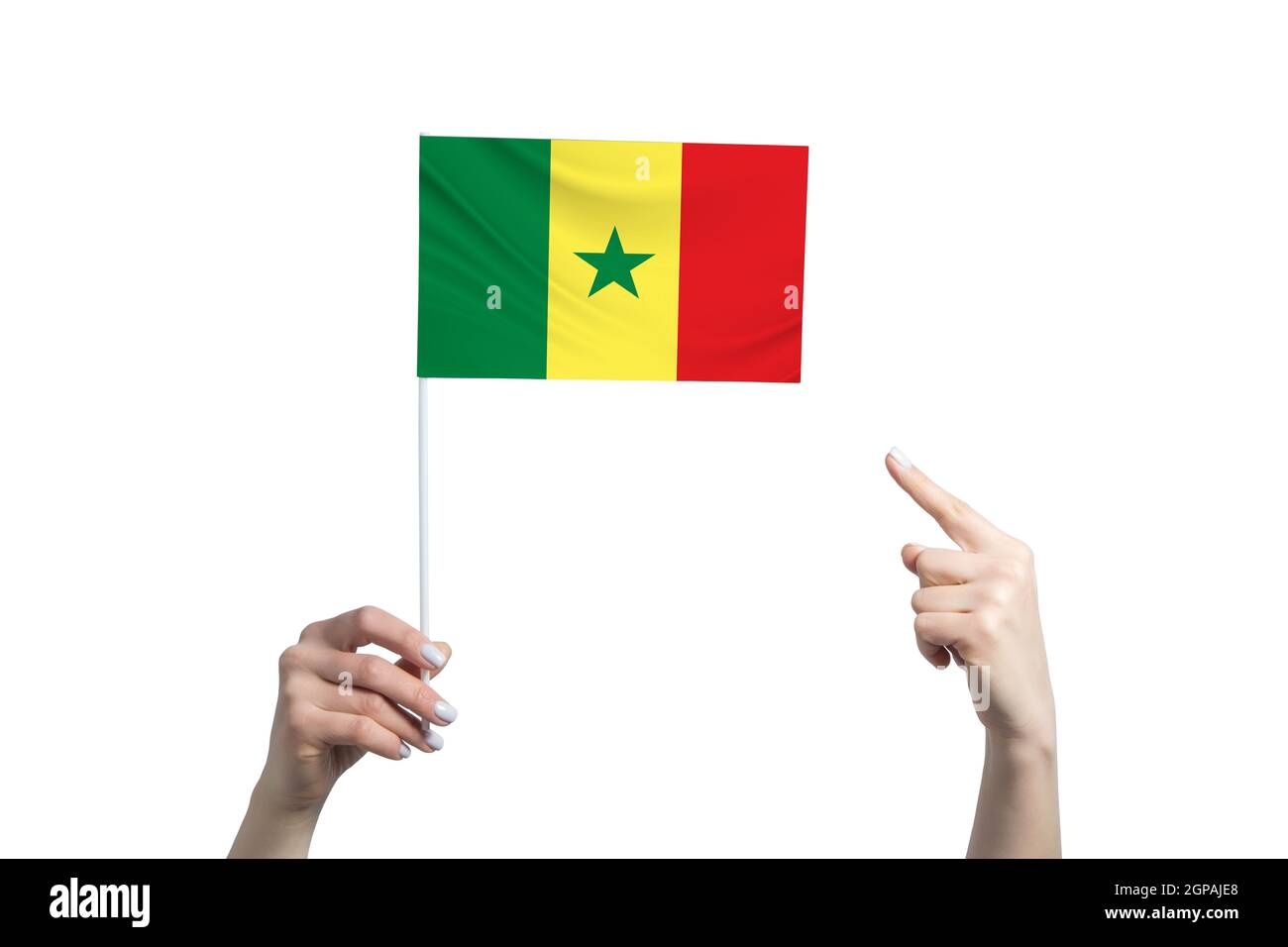 A beautiful female hand holds a Senegal flag to which she shows the ...