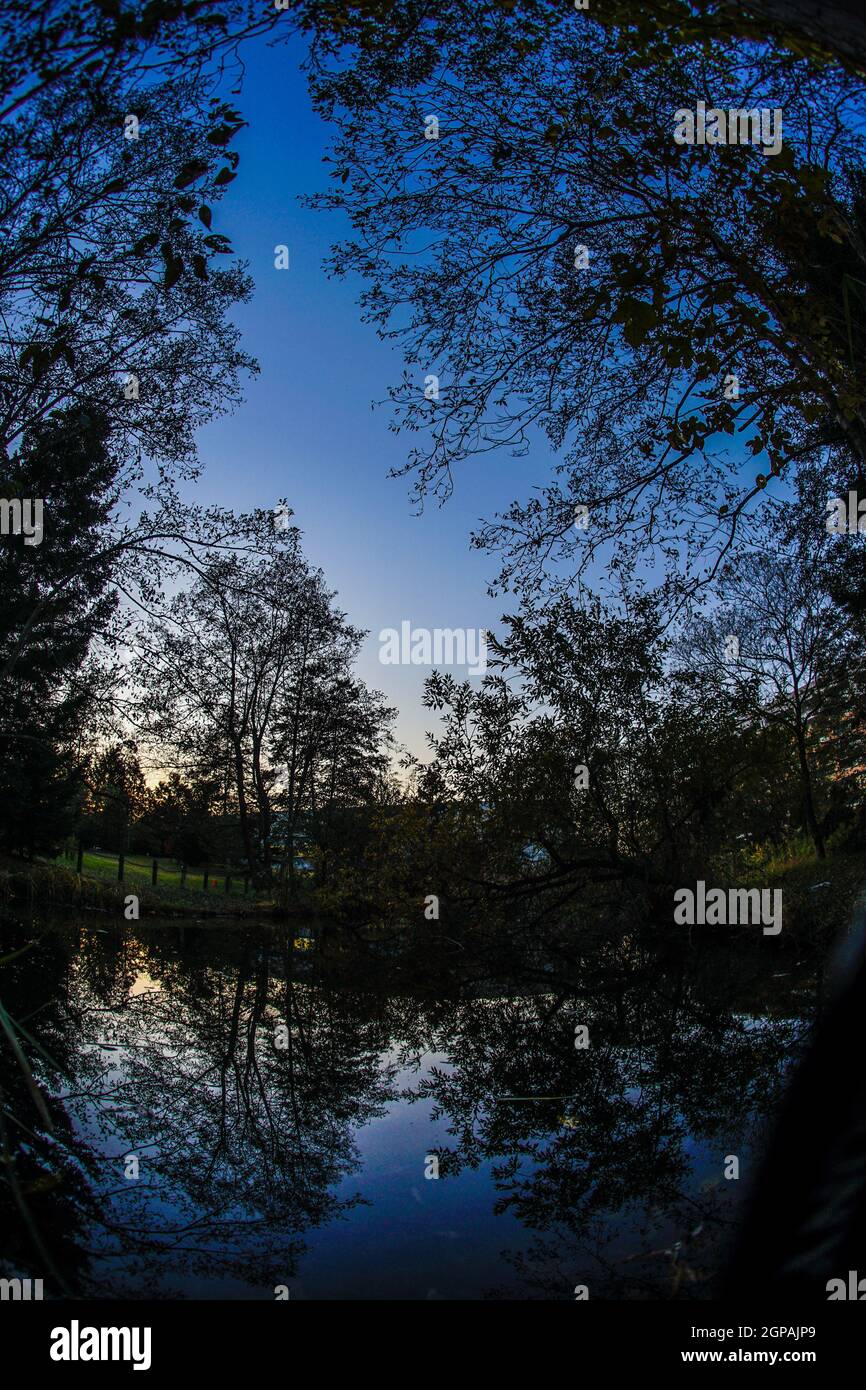 Sunset and forest silhouette (Sendai ice age of the forest). Shooting ...