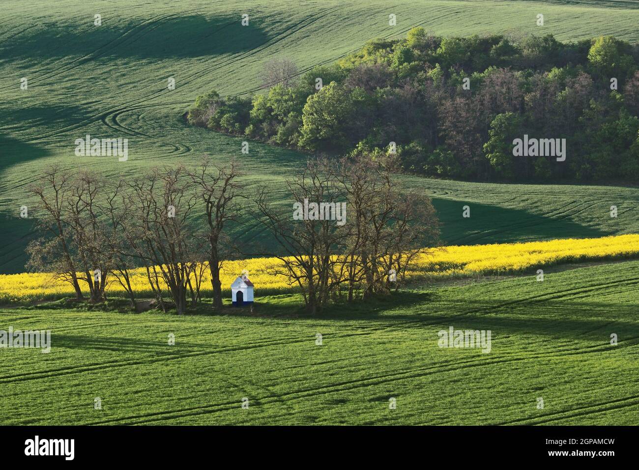 Spring flowering landscape in Moravia in Central Europe Stock Photo - Alamy