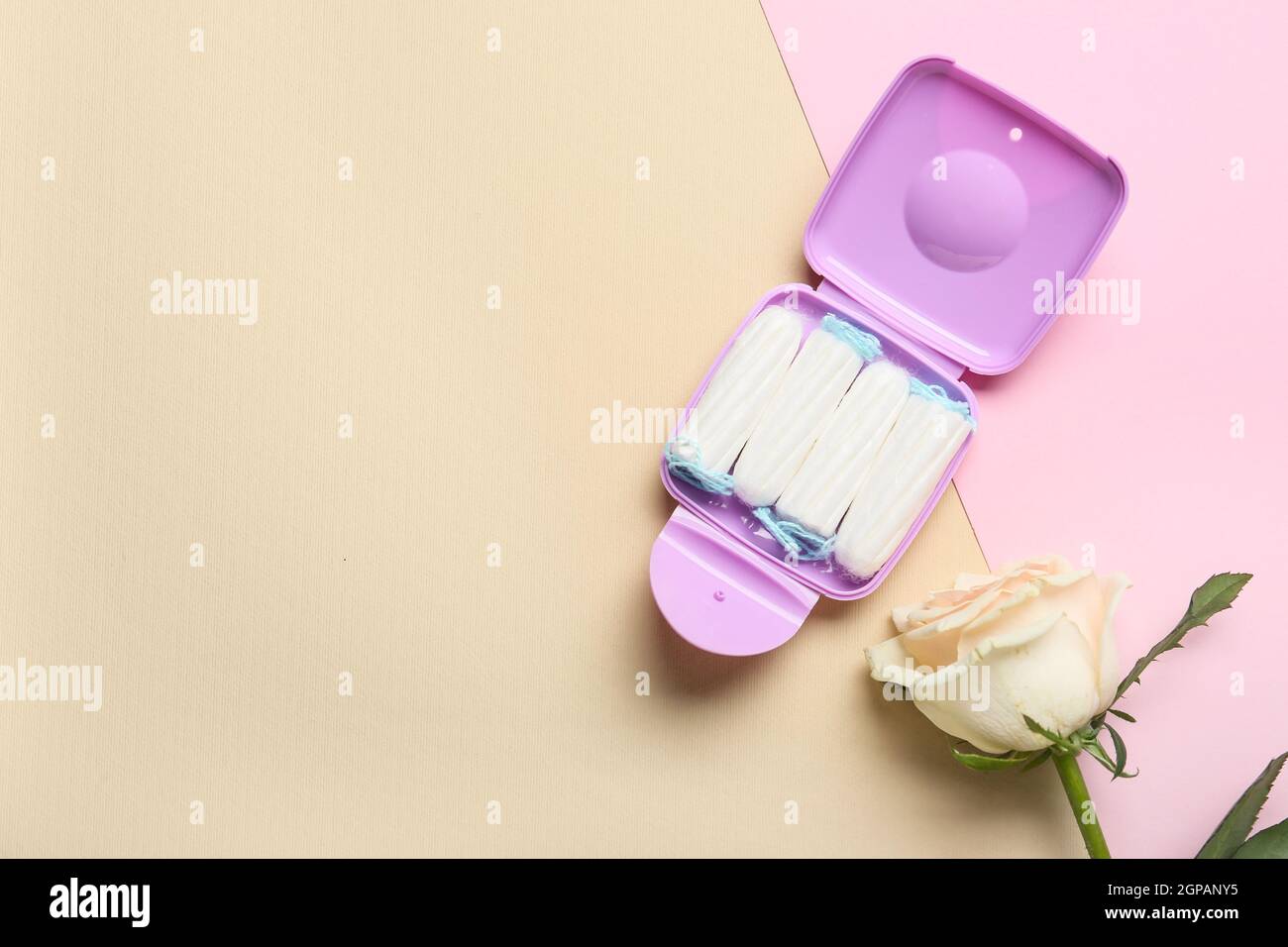 Purple monthly rose hi-res stock photography and images - Alamy