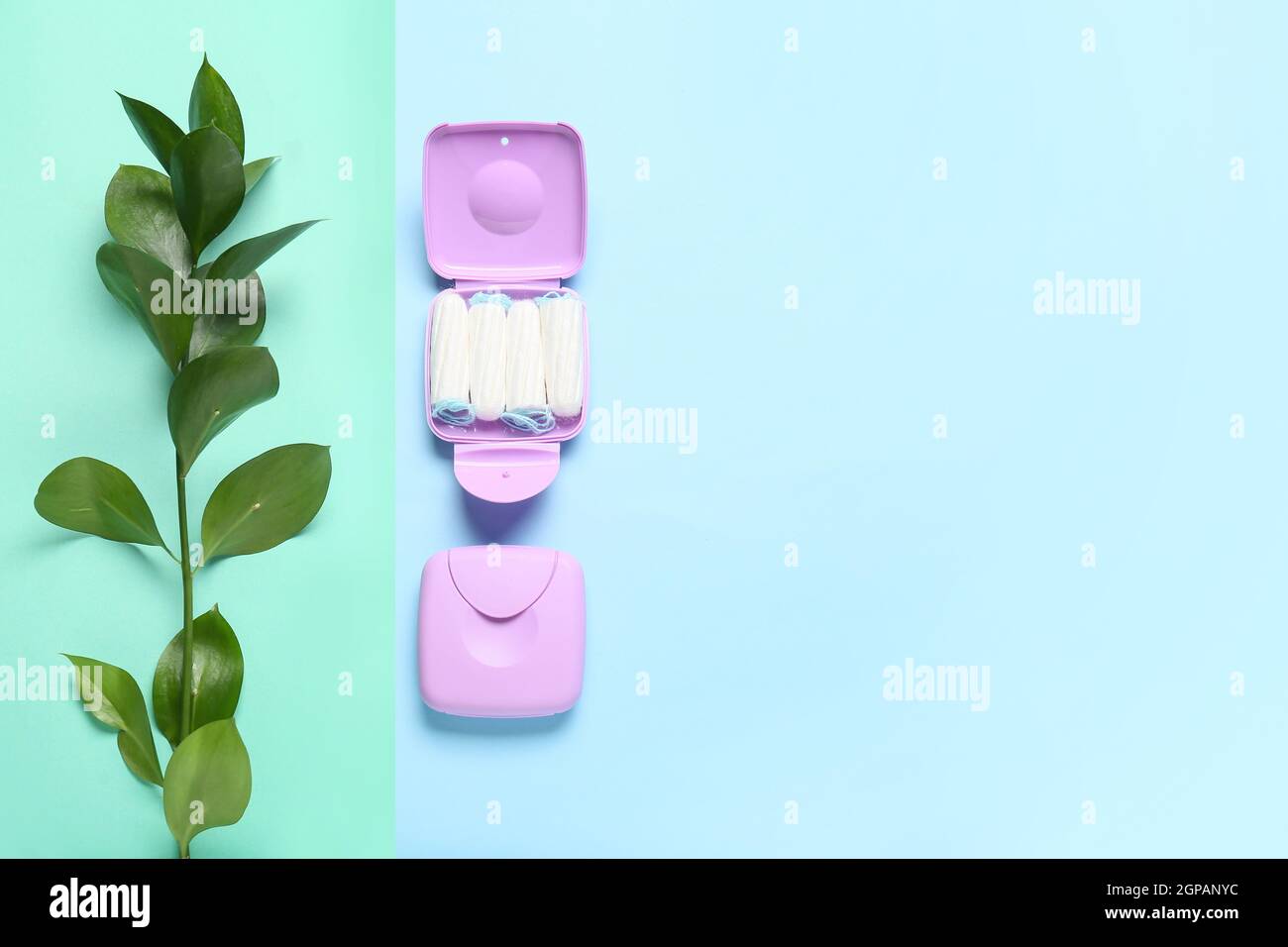 Tampons storage boxes with green branch on colorful background, top ...