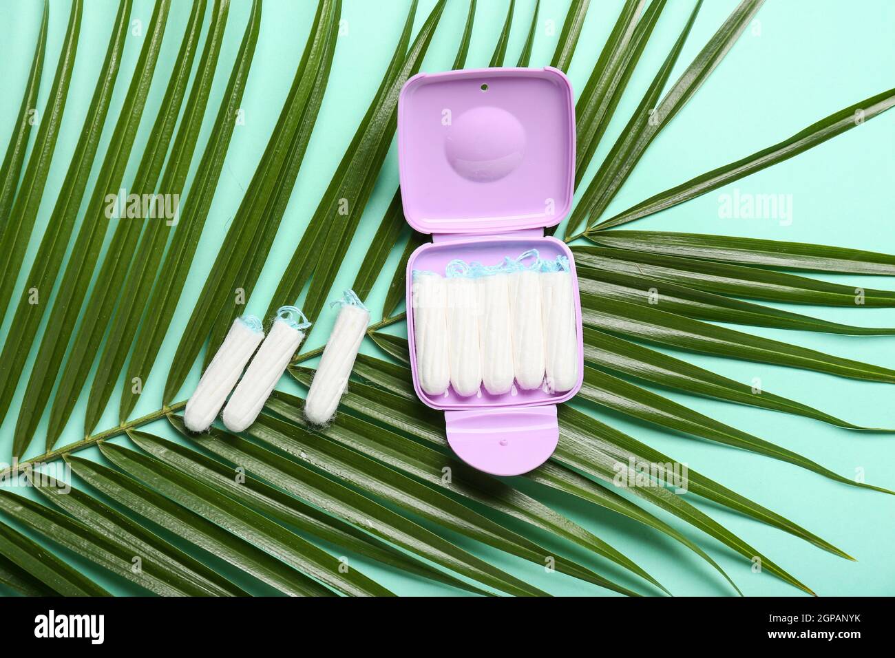 Tampons storage box lying on palm leaf, top view Stock Photo - Alamy
