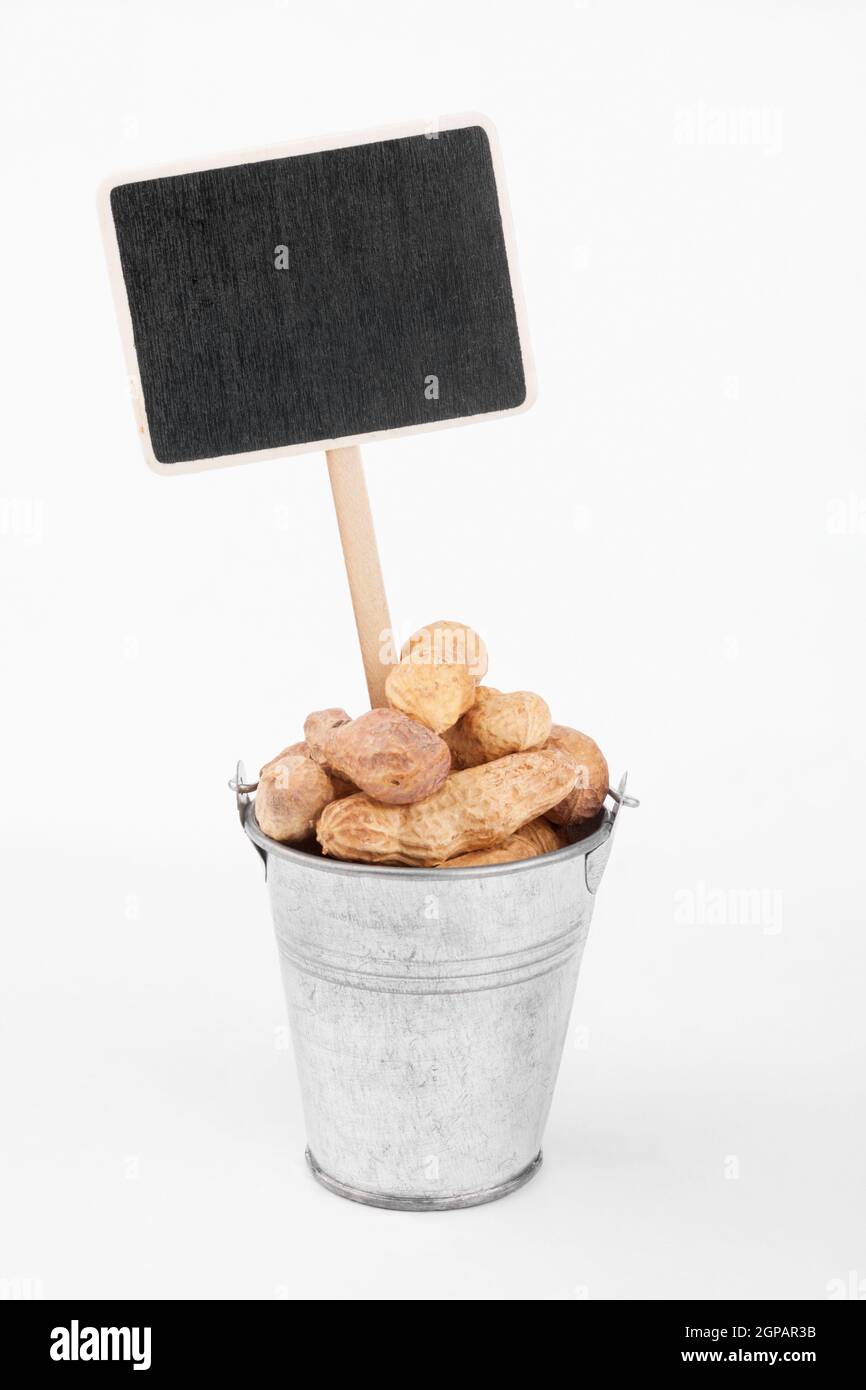 Pointer, price in bucket of peanuts, on a white background Stock Photo ...