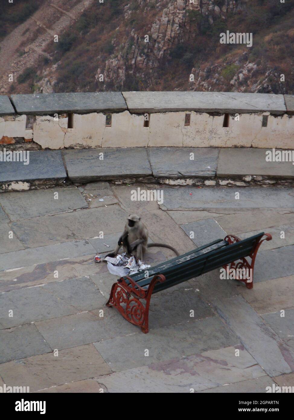 Monkey bench hi-res stock photography and images - Alamy