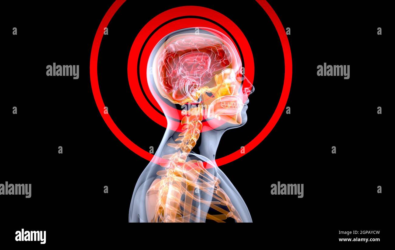 3D Anatomy concept of a Xray man Stock Photo - Alamy